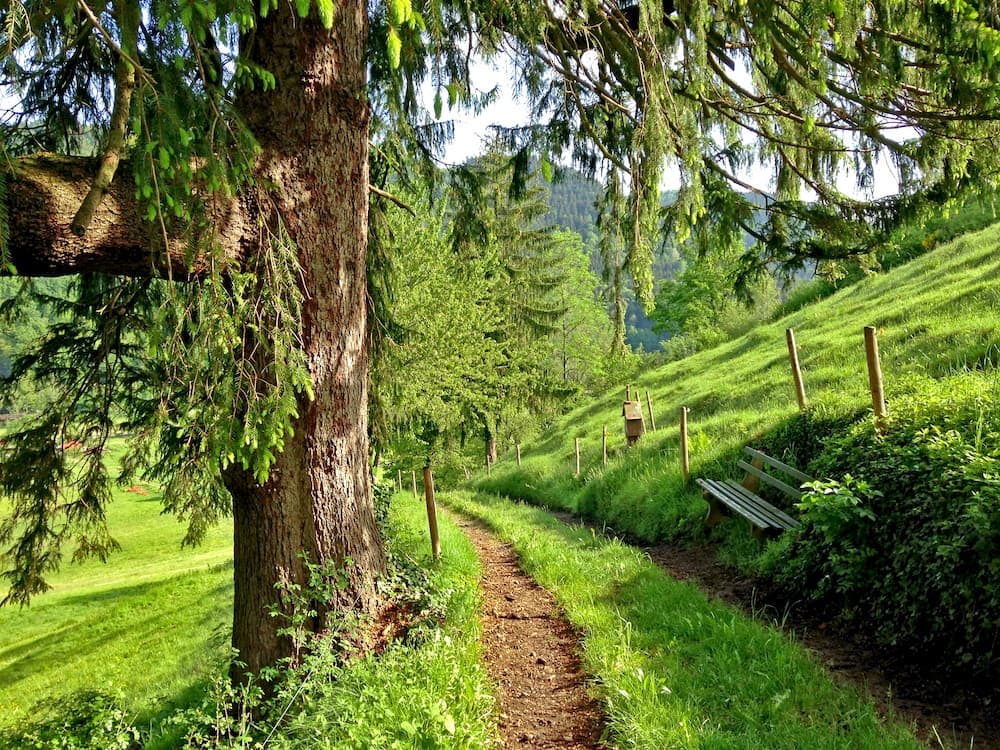 Bucket List | Discover Germany's Black Forest - Weather and Climate