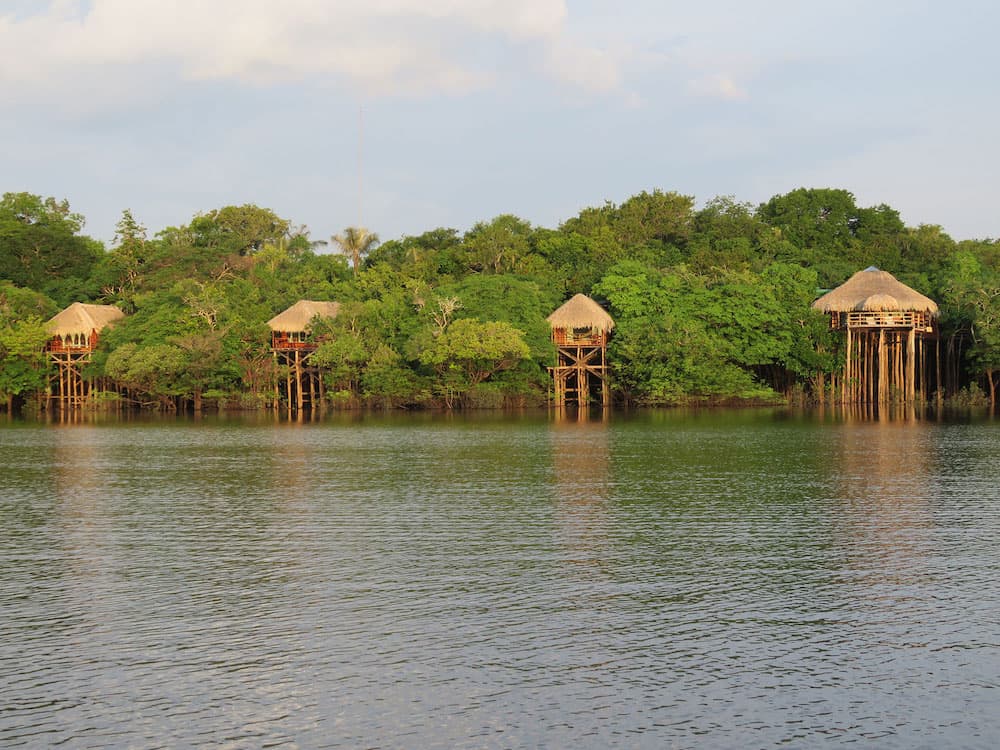 Bucket List | The 5 most tranquil retreats in the Amazon Rainforest ...